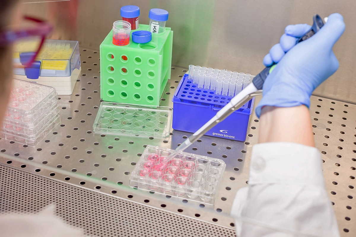 Abich Laboratories: Biology, Chemistry, Microbiology Testing